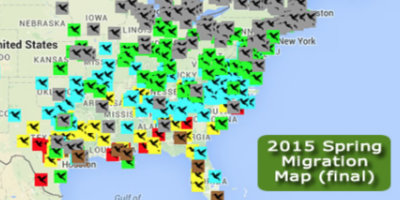 2015 hummingbird spring migration map, 2015 hummingbird sightings ...