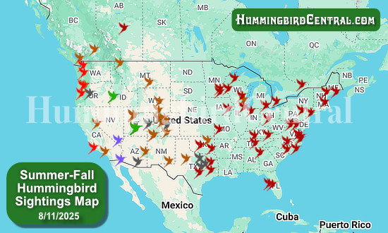 Hummingbird species of the world, 2025 hummingbird spring migration map ...